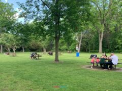 Happy Rolph's is a Free Animal Sanctuary Kids Will Love – Active Parents