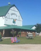 Downey's Farm Welcomes You To Pumpkin Fest and More!
