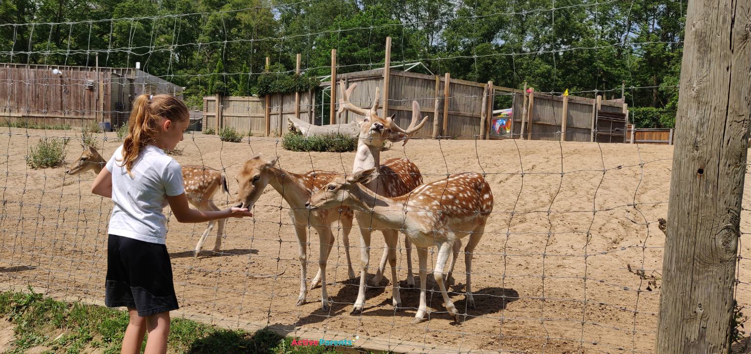 Brantford Twin Valley Zoo - 2025 Update! – Active Parents