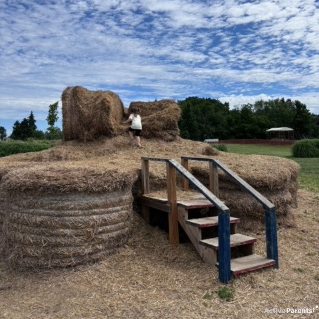 Andrews Scenic Acres Farm Market – Active Parents