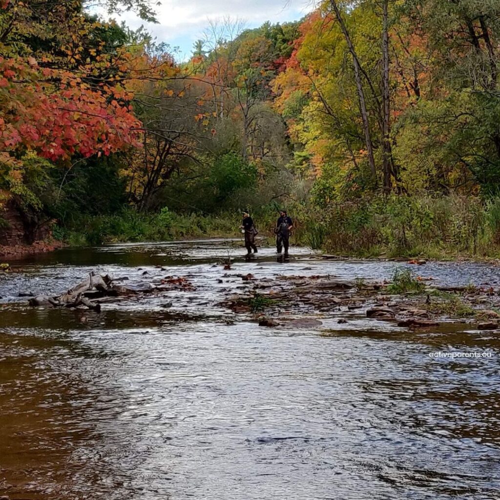 5 Must-Do Activities at Halton County Radial Railway Museum – Active ...