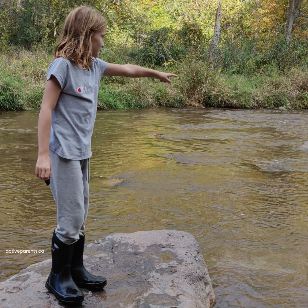Where To See The Salmon Run Near You – Active Parents